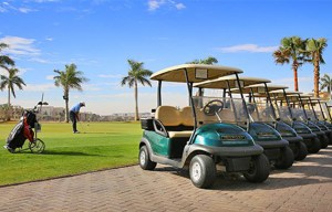 Home - The Allegria Golf Club